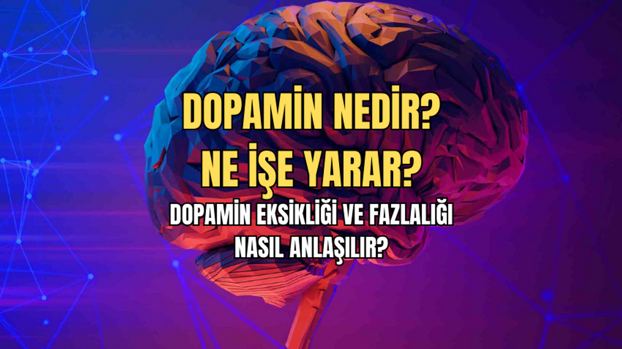 Dopamin nedir? Dopamin ne işe yarar ve eksikliği belirtileri nelerdir?