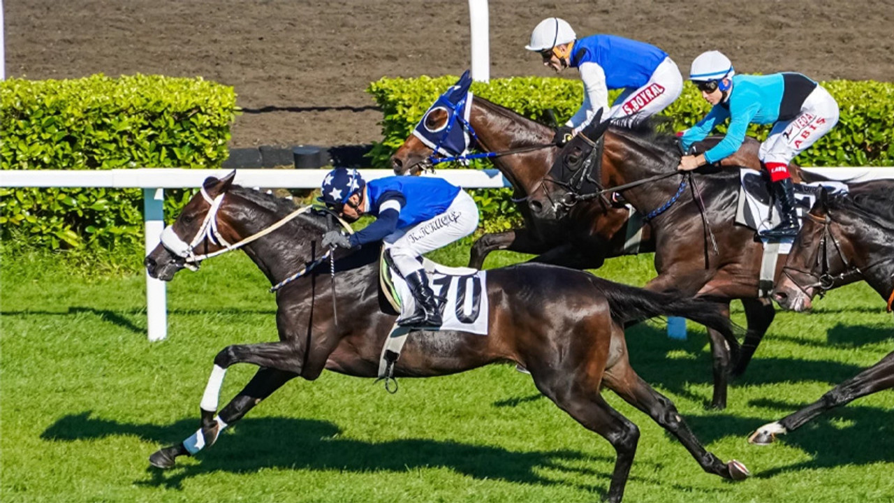 At yarışlarında bahis yetkisi el değiştiriyor