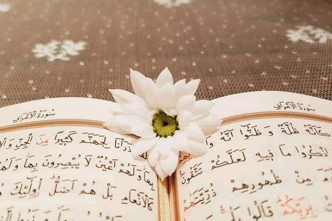 Hatim Duası: Hatim Duası Arapça Türkçe Okunuşu! Hatim duası nasıl ...